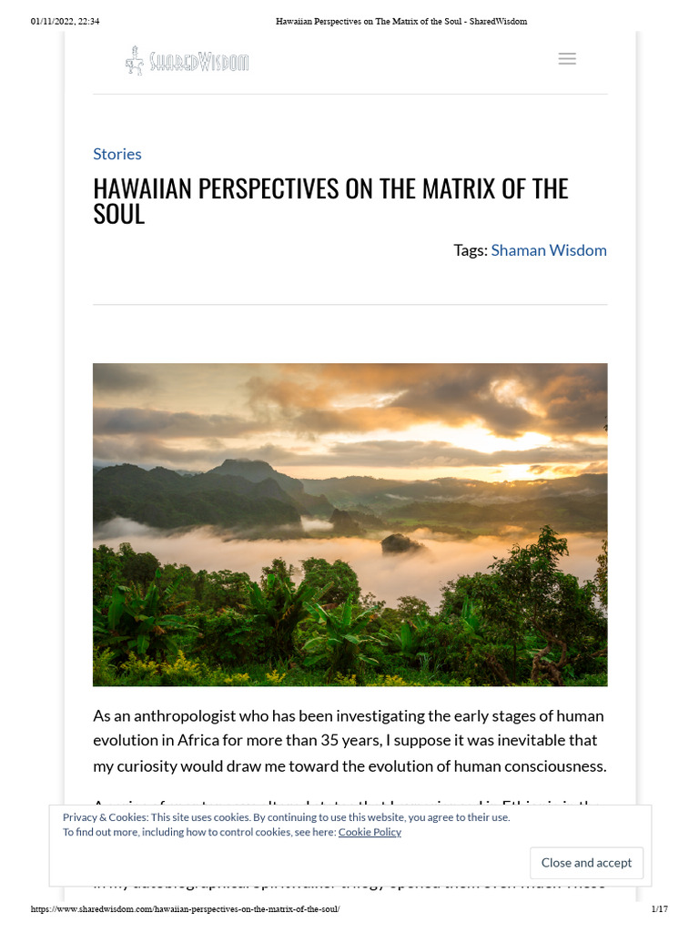Hawaiian Perspectives On The Matrix of The Soul SharedWisdom PDF | PDF ...
