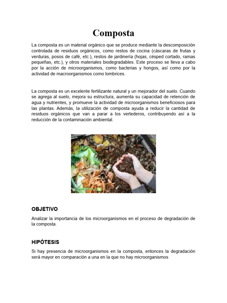 Proyecto Sobre La Composta | PDF | Compost | Suelo