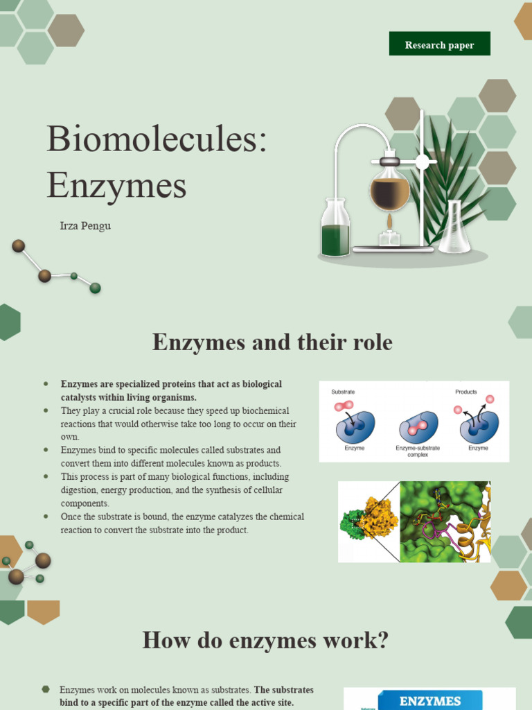Enzymes Pdf Enzyme Active Site