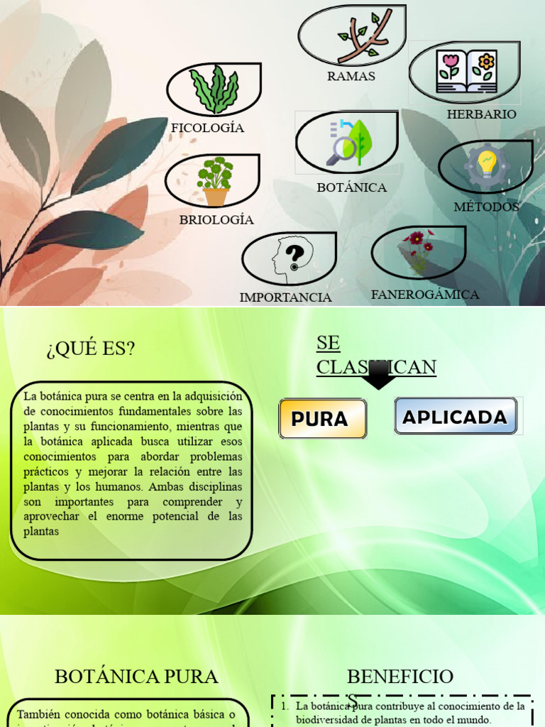 Botánica: Pura y Aplicada | PDF | Botánica | Agricultura