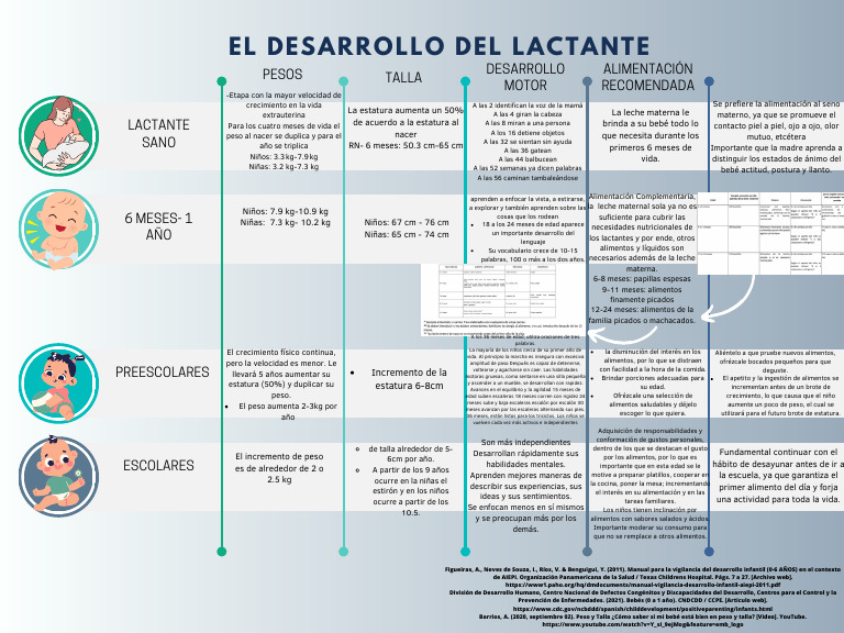 El Desarrollo Del Lactante | PDF