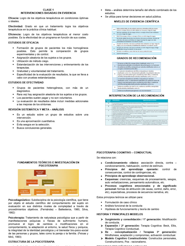 Intervenciones Psicológicas Basadas en Evidencia | PDF | Psicoterapia | Sicología