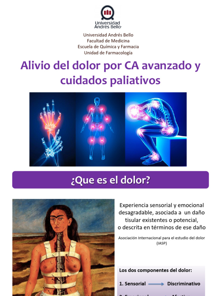 Clase 10 Dolor Y Cuidados Paliativos 2022 Pdf Dolor Cáncer