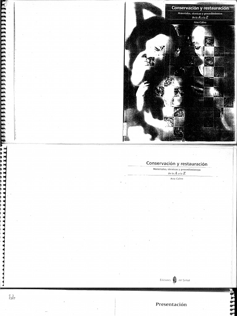 Conservacion y Restauracion. Ana Calvo | PDF