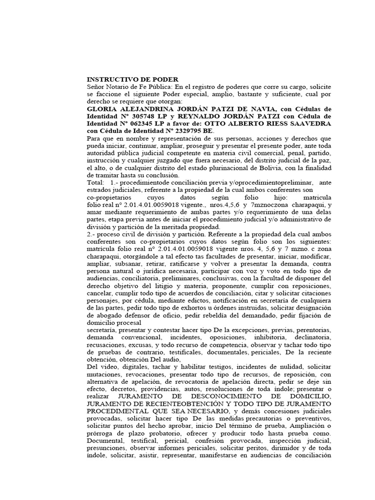 Instructivo de Poder | PDF | Judicaturas | Gobierno
