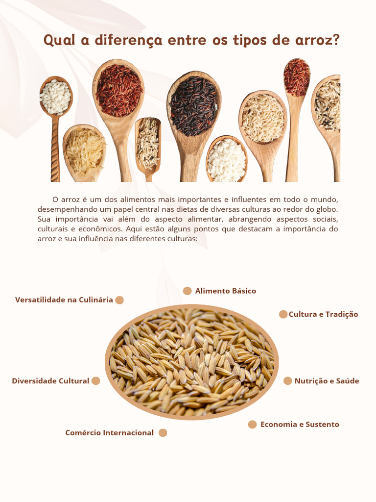 Qual A Diferença Entre Os Tipos de Arroz | PDF | Cereais | Fibra alimentar