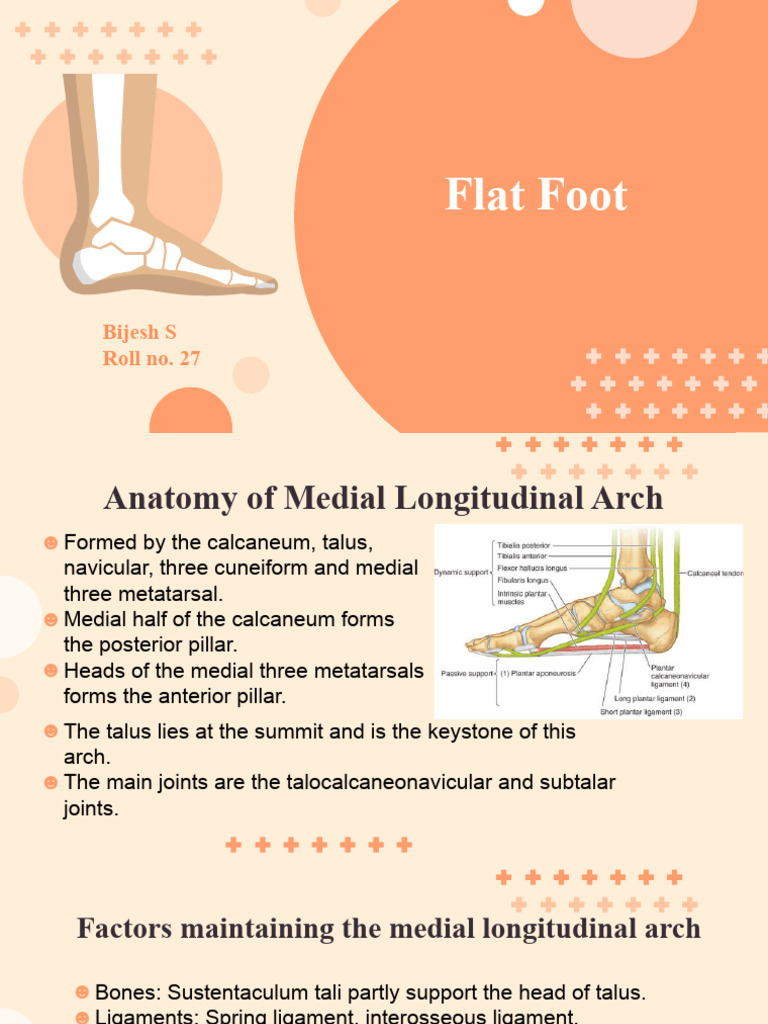 flat foot | PDF | Foot | Musculoskeletal System