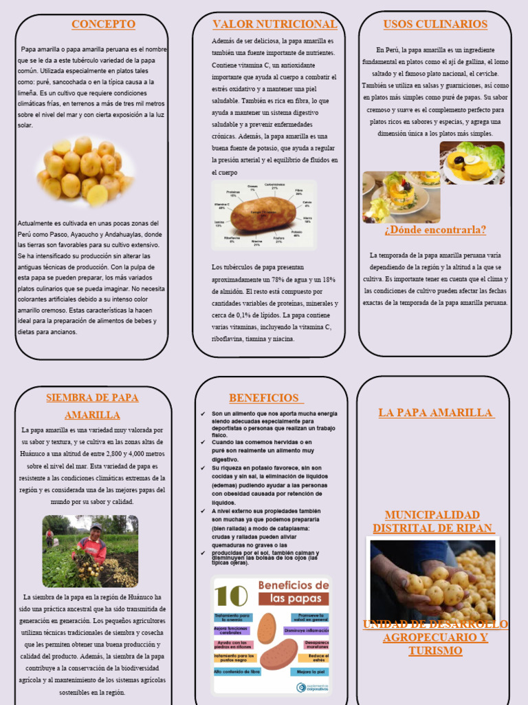 Triptico Del Reciclaje | PDF | Patata | Alimentos Triptico Del Reciclaje | PDF | Patata | Alimentos