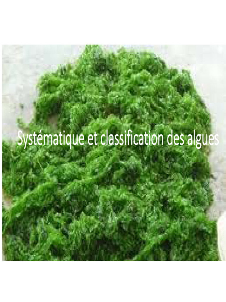 Systématique Et Classification Des Algues | PDF | Cyanobactéries | Algue