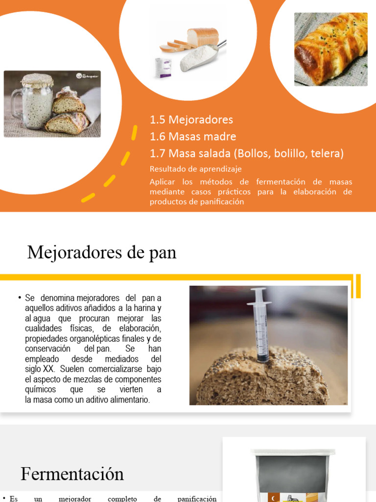 Panaderia Masa Madre Pdf Panes De Masa Fermentada