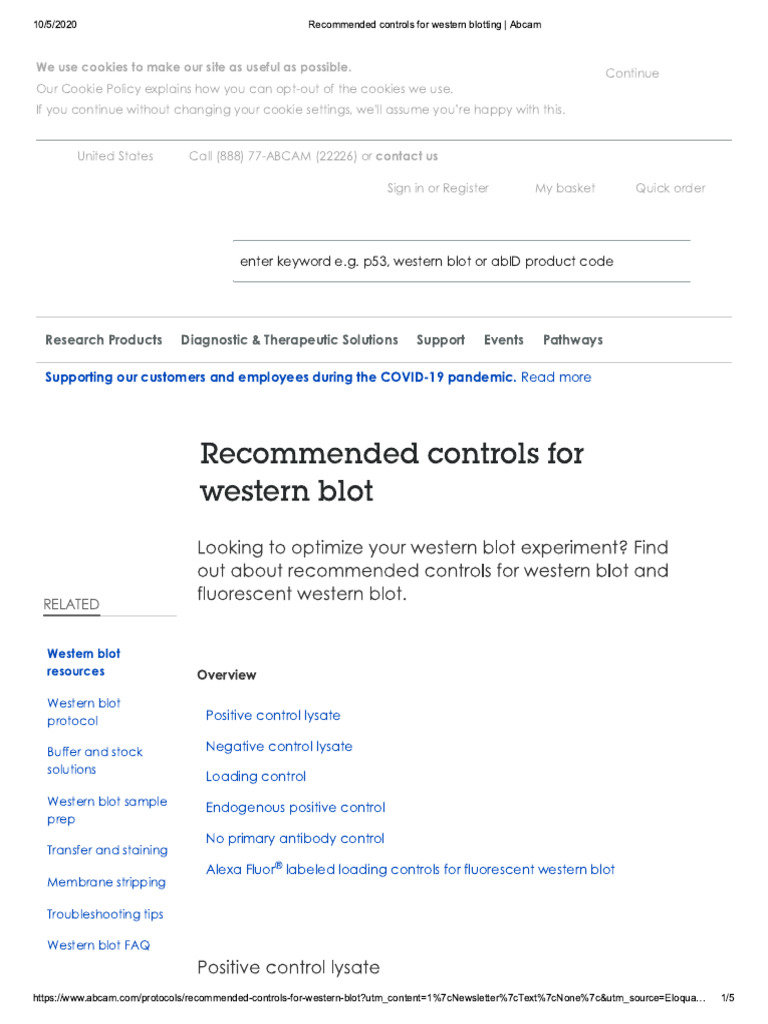 Recommended Controls For Western Blotting - Abcam | PDF