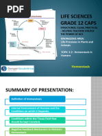 Homeostasis Notes Grade 12 | PDF | Homeostasis | Kidney
