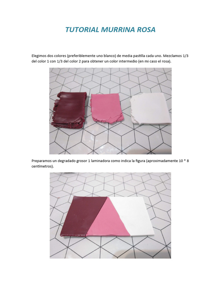 Tutorial Rosa | PDF