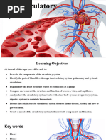 Blood and Circulation, iGCSE Biology | PDF | Circulatory System ...