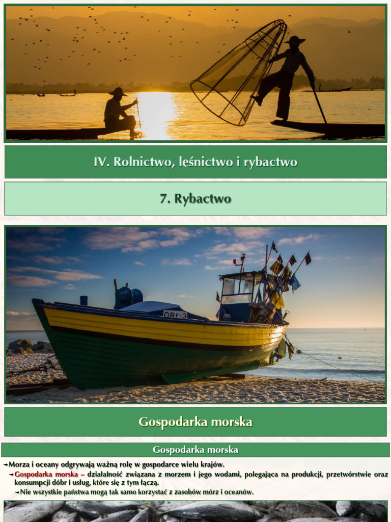 IV. Rolnictwo, Leśnictwo I Rybactwo | PDF