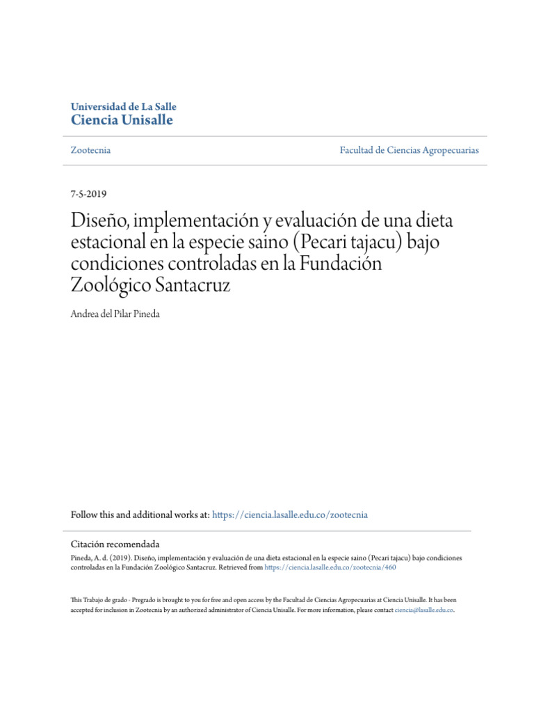 (Tesis) Andrea Del Pilar Pineda, Año 2019 - Diseño Implementación y ... (Tesis) Andrea Del Pilar Pineda, Año 2019 - Diseño Implementación y ...