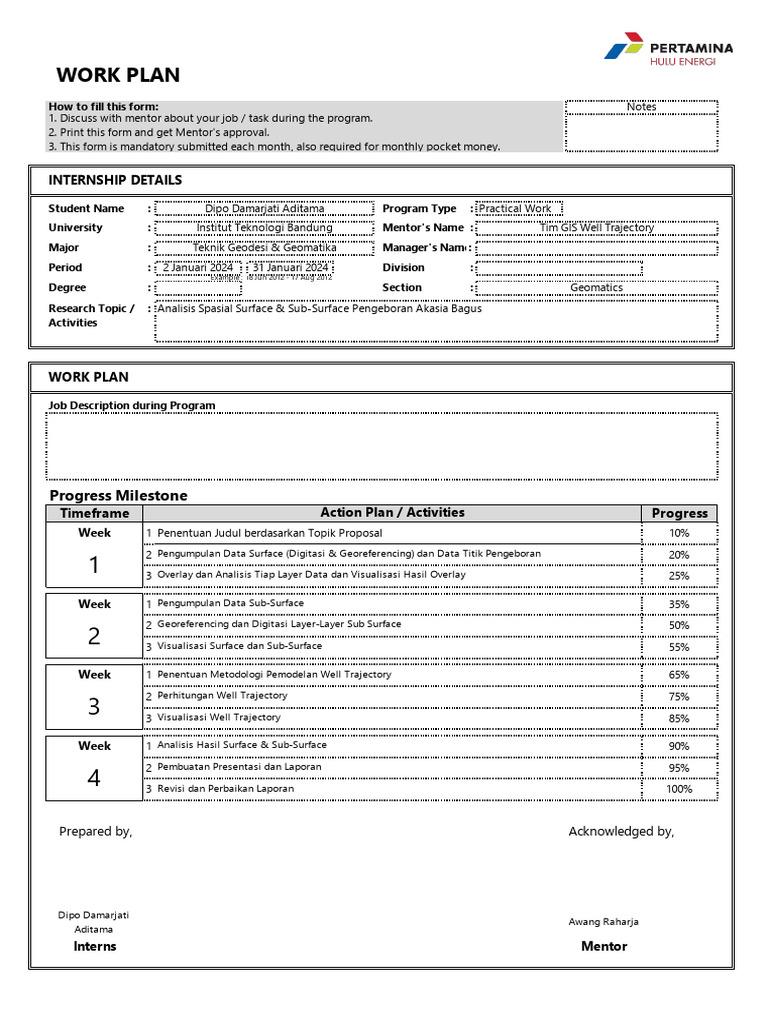 08 - Work Plan Internship | PDF | Geographic Data And Information ...