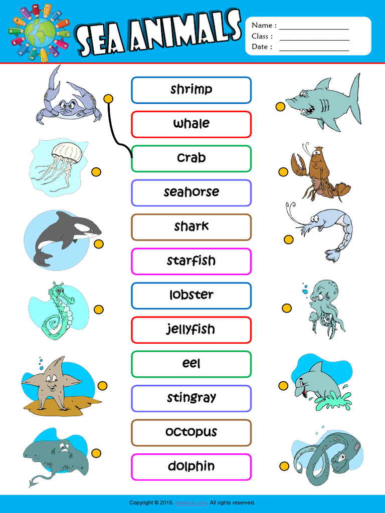Summer Worksheet Sea Animals | PDF | Cetaceans | Zoology