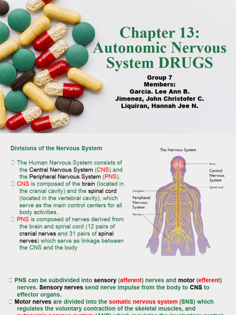 ANS Drugs Reporting | PDF | Autonomic Nervous System | Nerve