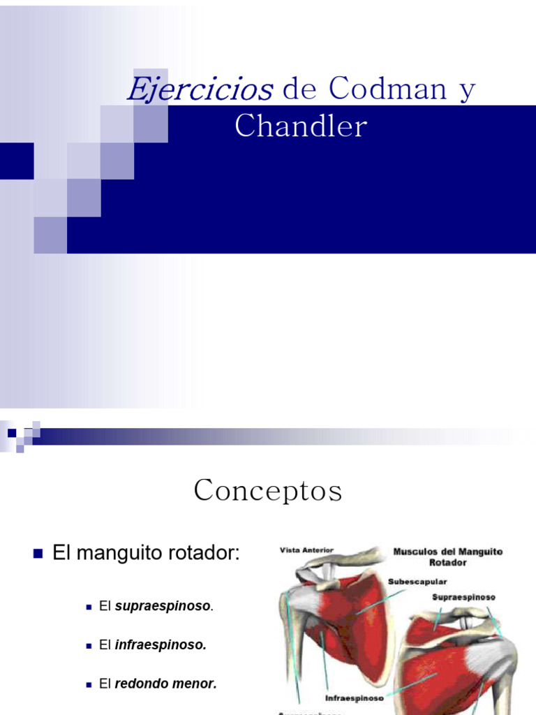 Ejercicios Codman | Descargar gratis PDF | Articulaciones | Sistema ...