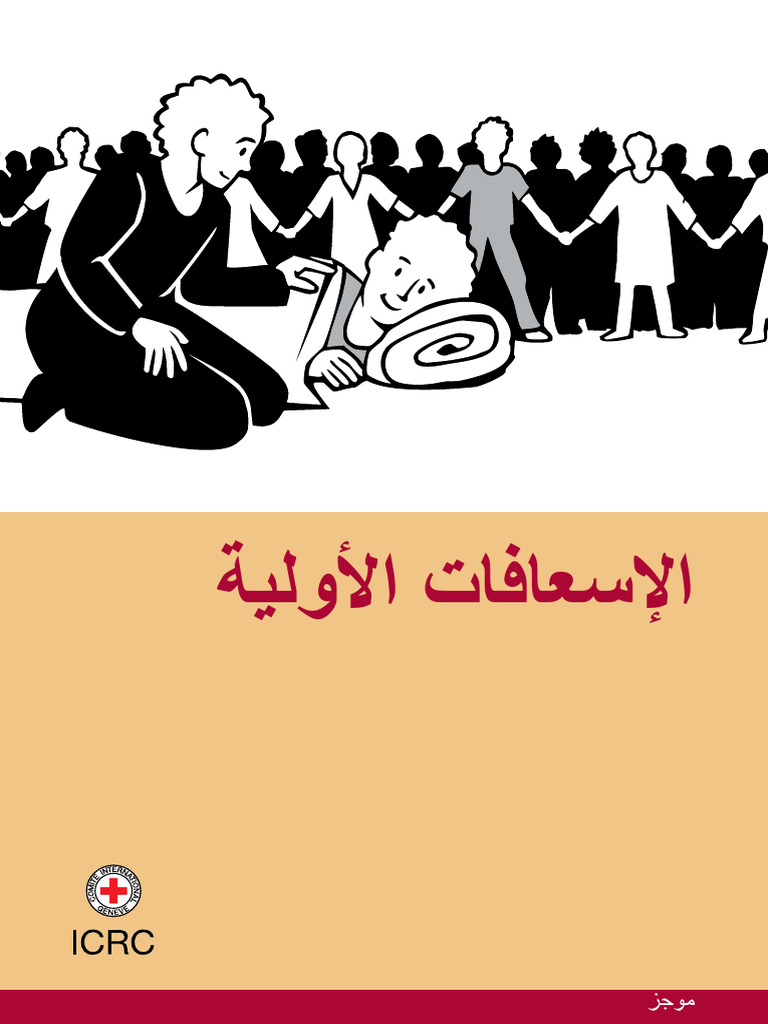 ICRC FA in Brief AR and Code of Counduct | PDF