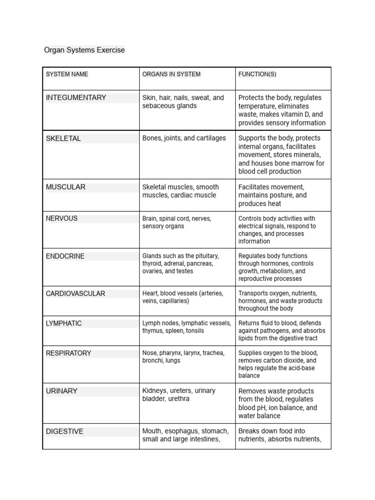 Overview of Human Organ Systems | PDF | Human Body | Muscle