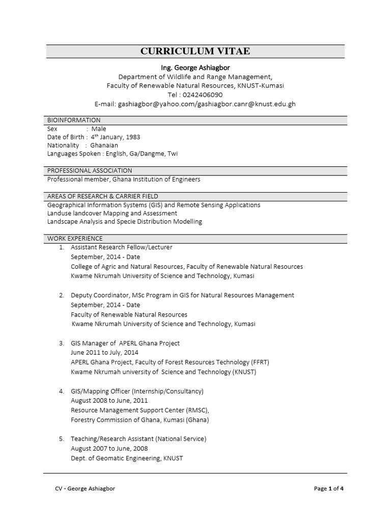 Curriculum Vitae | PDF | Geographic Information System | Spatial Analysis
