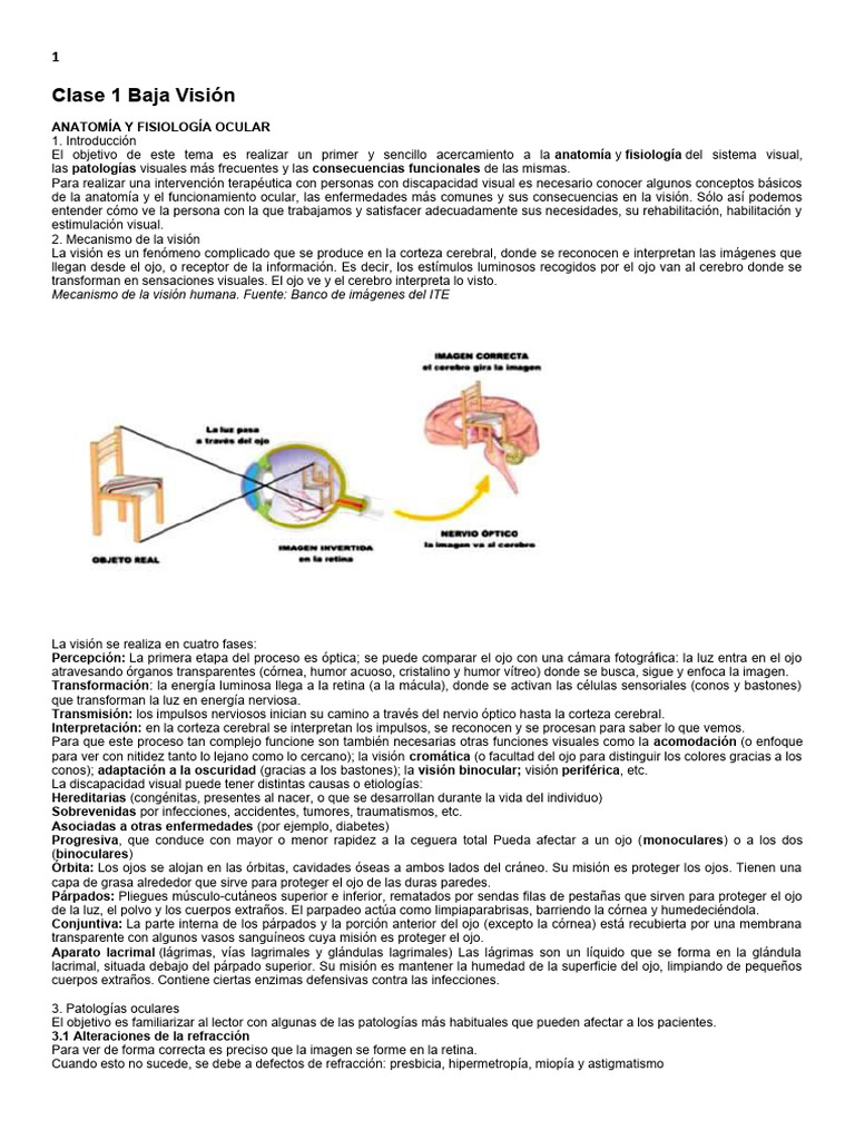 Introducción a la Baja Visión | PDF | Ojo humano | Percepción visual