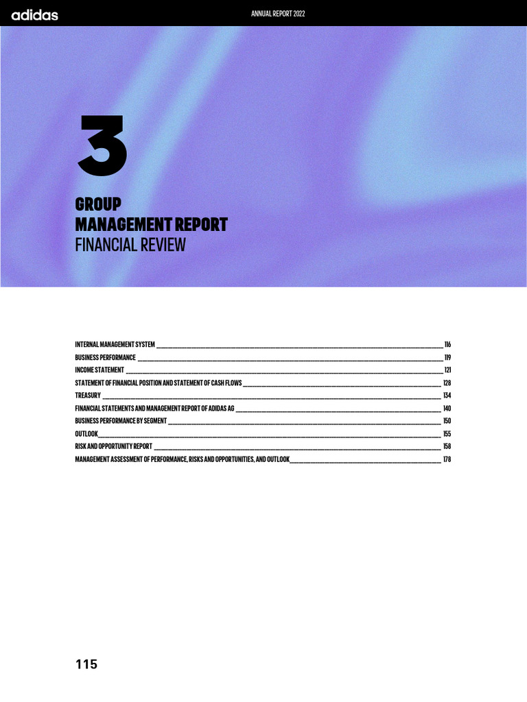 Financial Review Adidas Ar22 | PDF | Balance Sheet | Inflation