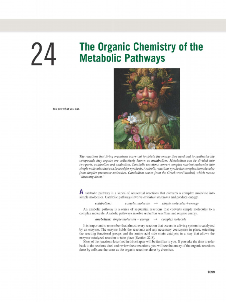 Organic Chemistry of Metabolic Pathways | PDF
