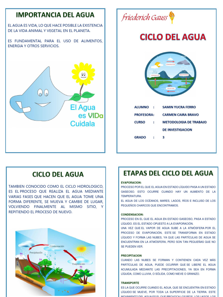 Ciclo Del Agua | Descargar gratis PDF | Agua | El ciclo del agua