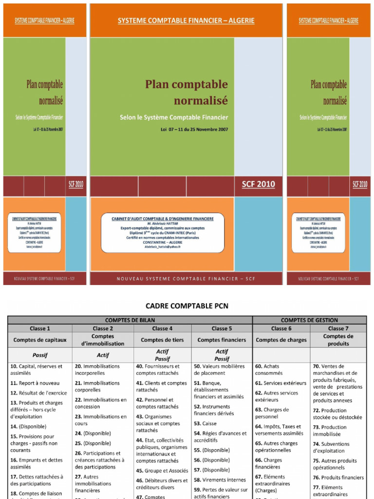 Plan Comptable Normalisé | PDF