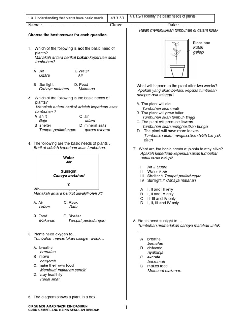 Basic Needs of Plants Explained | PDF