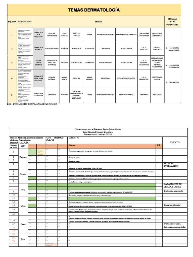 Temas DERMA | PDF | Inmunología | Enfermedades y trastornos