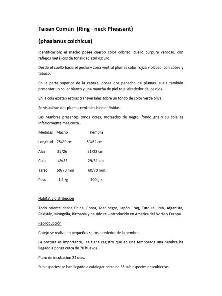 Características y Hábitat de Faisanes | PDF | Aves holarctic | Ornitología
