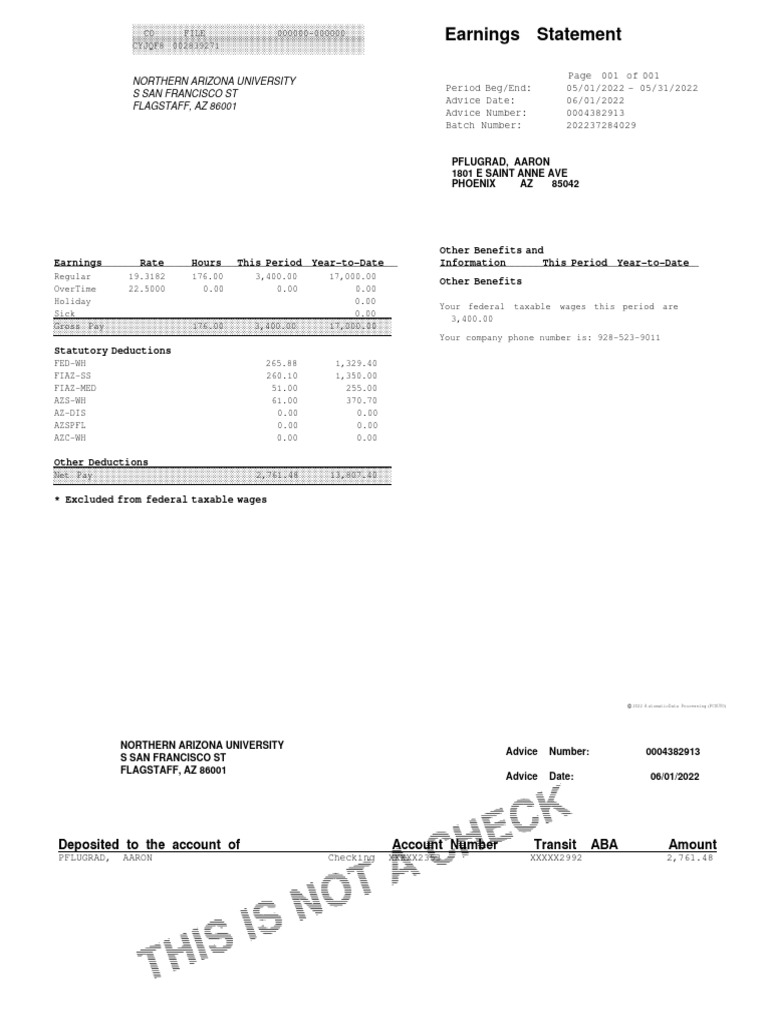 Earnings Statement: Pflugrad, Aaron 1801 E Saint Anne Ave Phoenix Az 85042 | PDF | Government ...