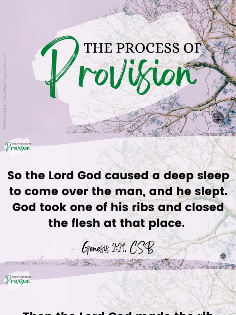 SOM - Homiletics - Textual Preaching - Lee Patacsil | PDF