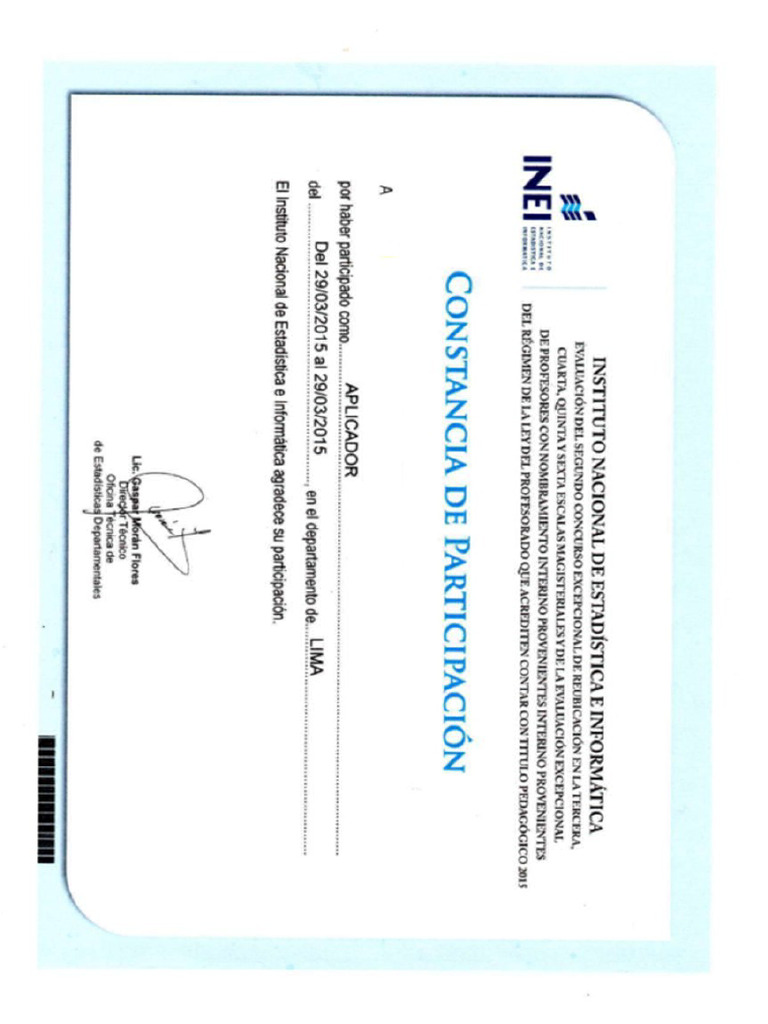 Aplicador Inei | PDF