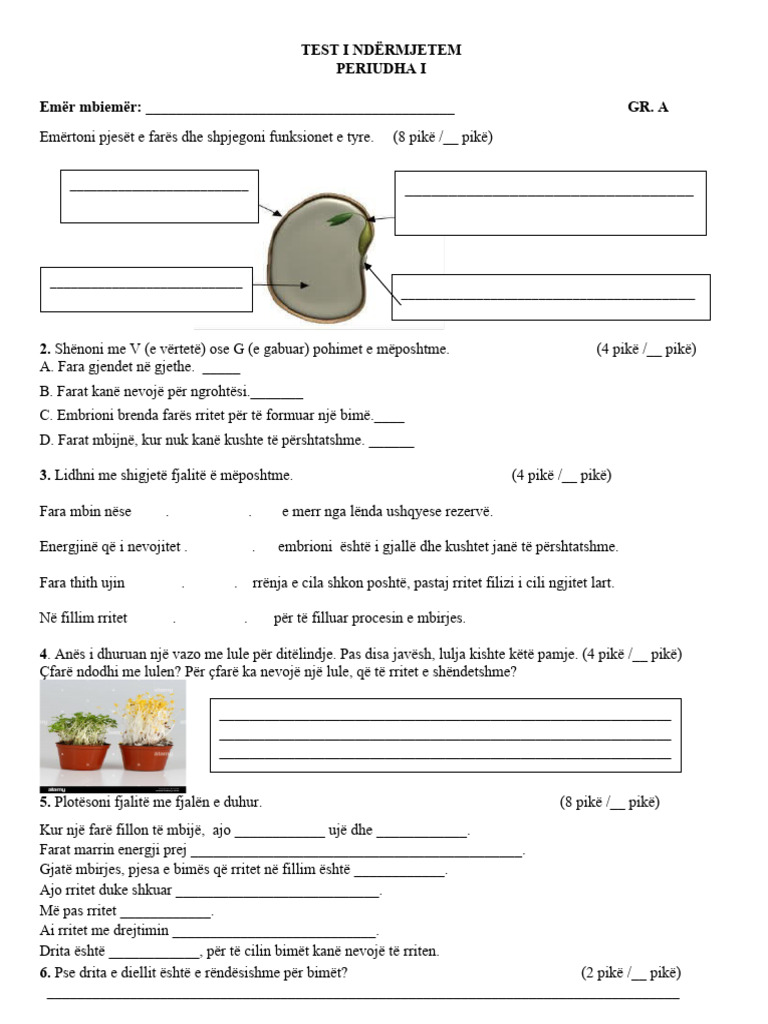 Dituri 5 - Test I Ndermjetem Per Periudhen 1 | PDF