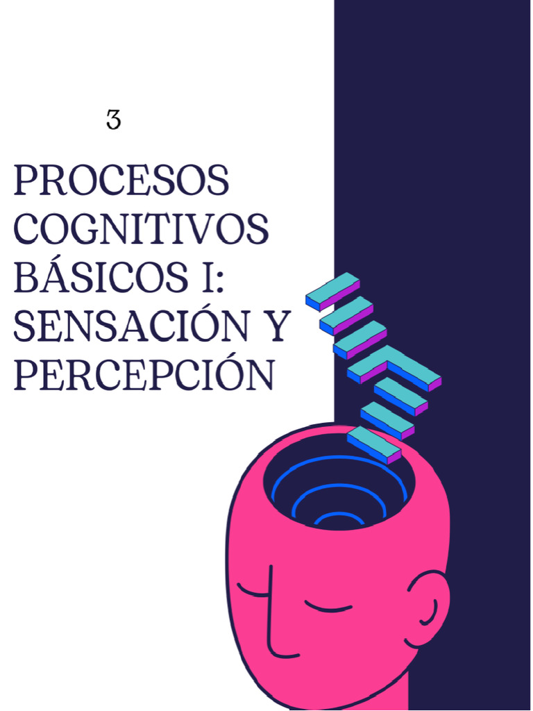 Procesos Cognitivos Básicos I - Sensación y Percepción | PDF ...