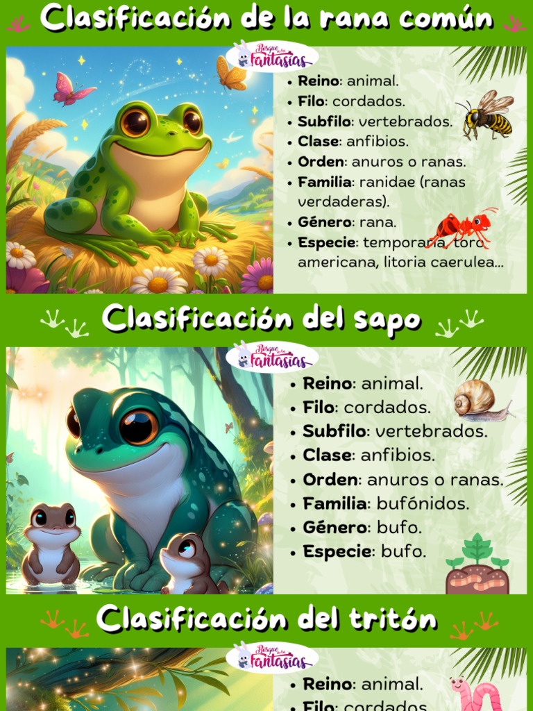 Clasificación Anfibios | PDF