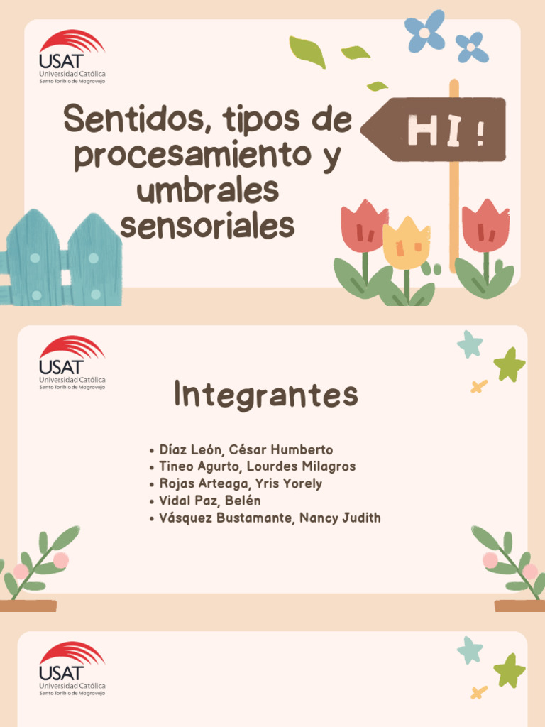 Sentido y Sensación | PDF | Sentidos | Percepción visual