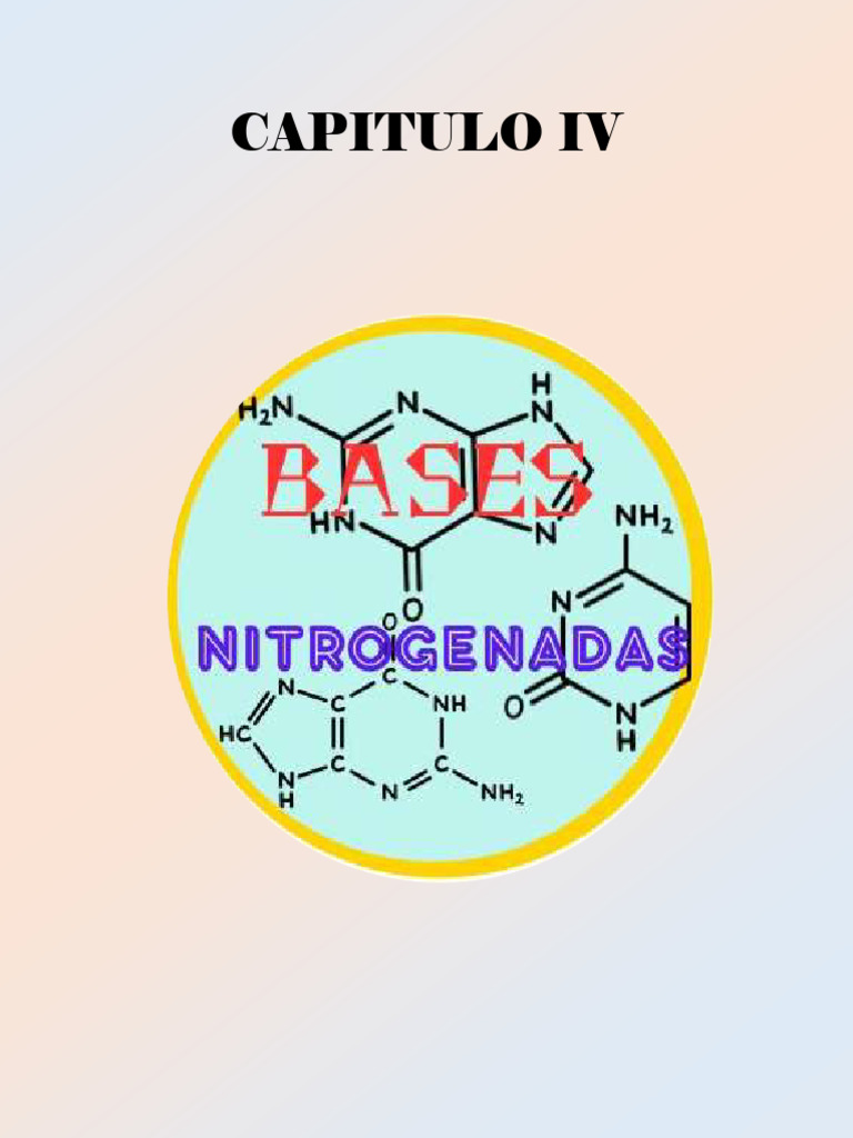Album Capitulo IV BASES NITROGENADAS | PDF | Nucleótidos | Ácidos nucleicos