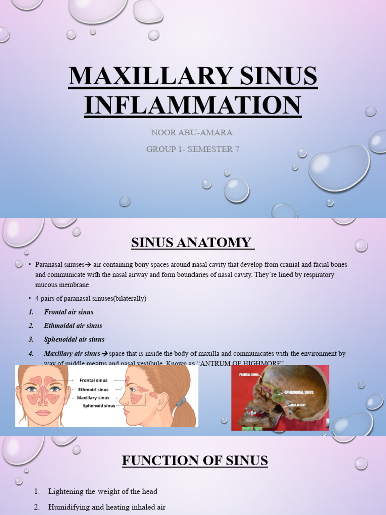 Maxillary Sinus Inflammation | PDF | Human Nose | Human Anatomy