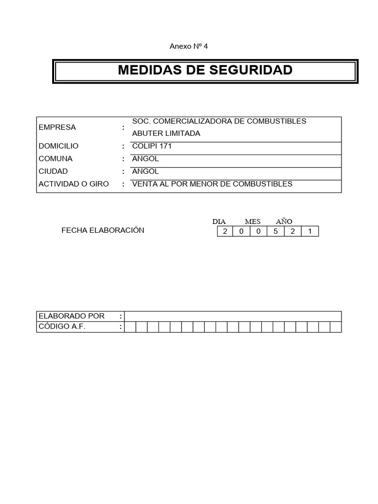Formato Medidas de Seguridad | PDF