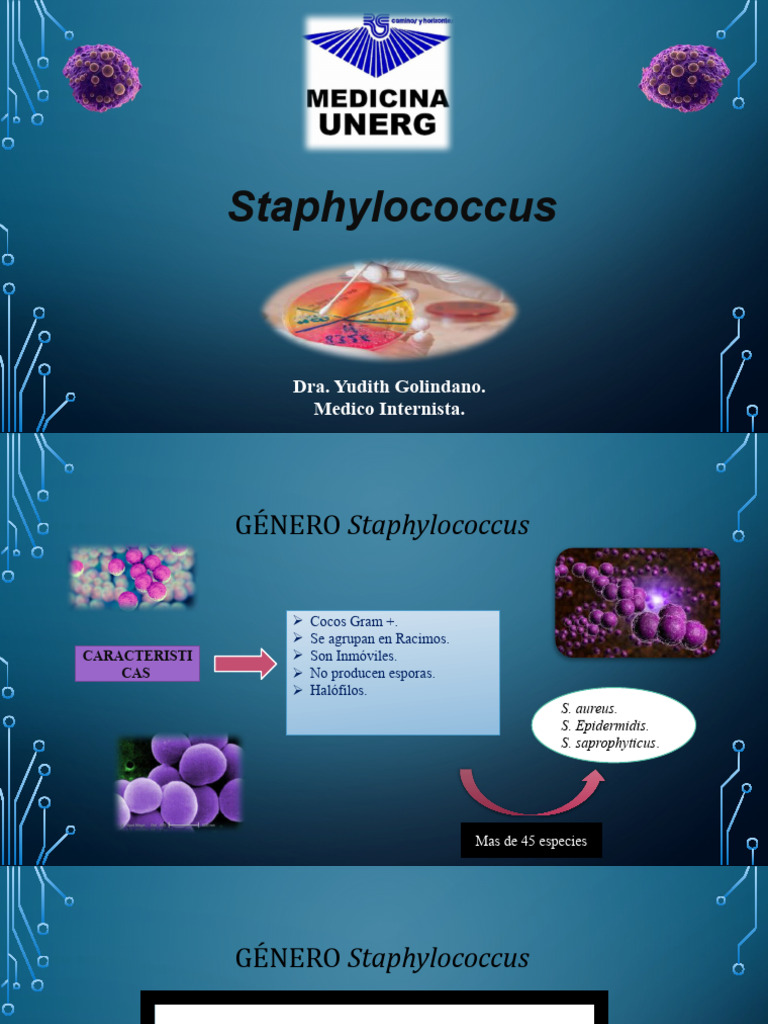 Características e Infecciones por Staphylococcus | PDF | Staphylococcus ...