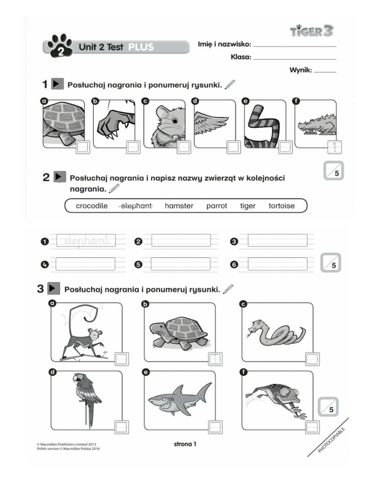 Tiger 3 Unit 2 Test Plus | PDF