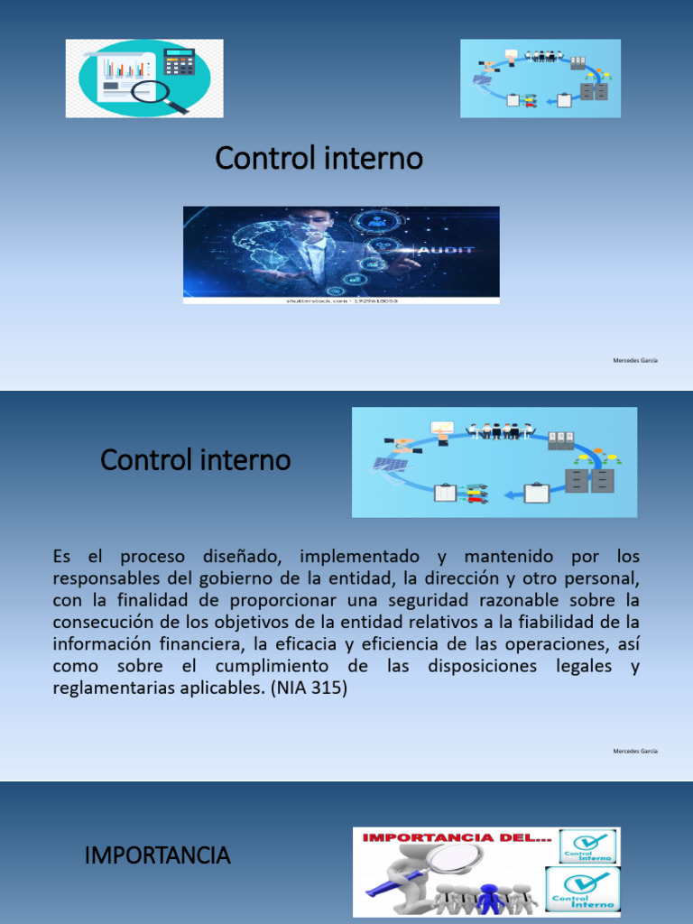 Control Interno | PDF | Auditoría | Contabilidad