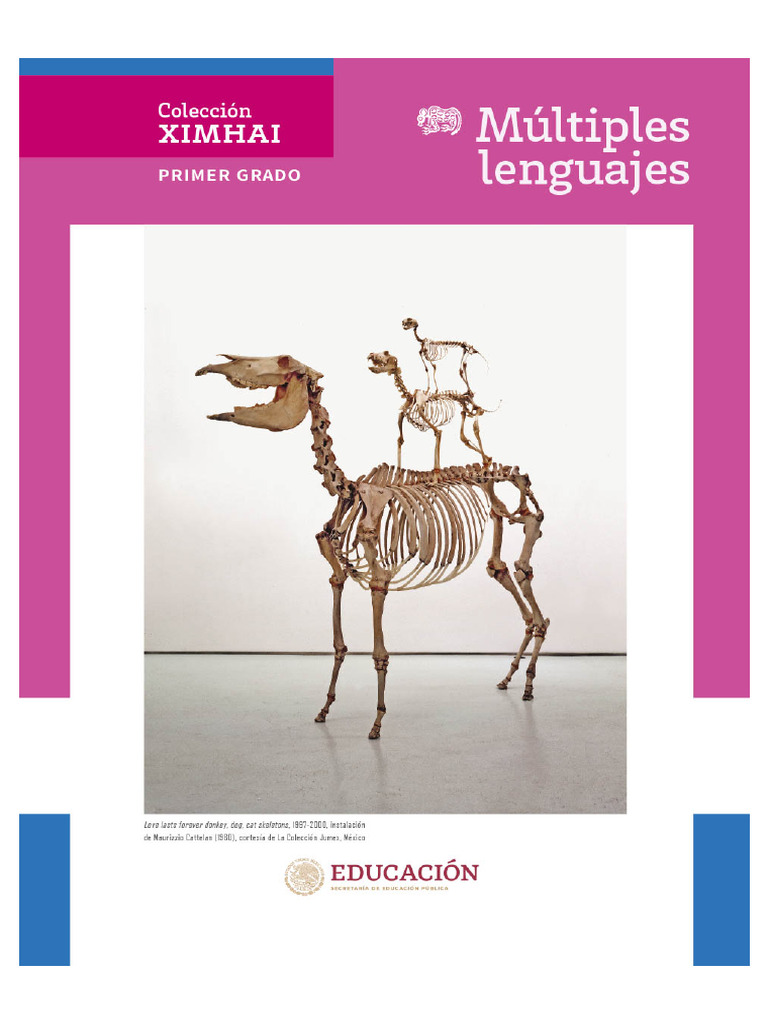 Multiples Lenguajes | PDF