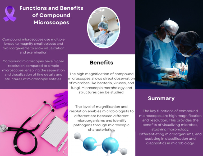 Compound Microscopes | PDF